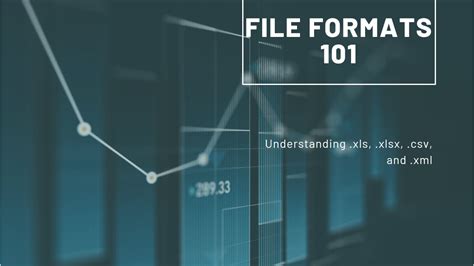 Essay On File Formats Xls Xlsx Csv And Xml