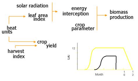 Parameterization Of Crop Production Processes For Estimating Crop Yiel