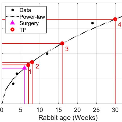 A Schematic Of The Supersonic Panel Flutter Test Case The Hatched Download Scientific Diagram