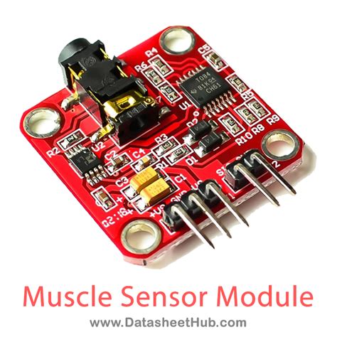 Muscle Sensor Module For Arduino Datasheet Hub