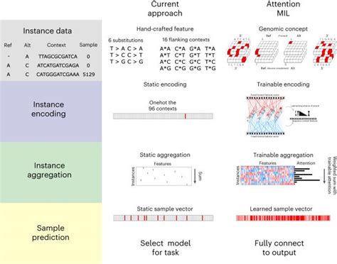 John William Sidhom Md Phd On Linkedin Multiple Instance Learning Of Somatic Mutations For