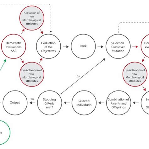 The Modified Evolutionary Simulation Workflow With Two Secondary