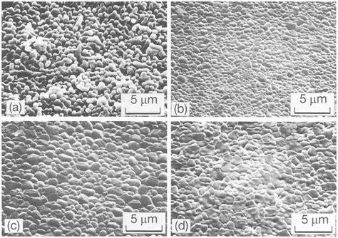 Microstructure Development At Different Sintering Temperatures Download Scientific Diagram