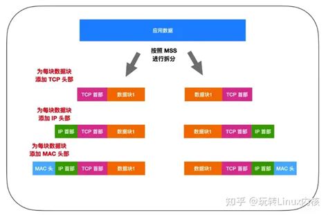 Linux Kernel Wiki 文章 进程管理 Linux内核socket通信原理和实例讲解 Md At Main · 0voice Linux Kernel Wiki · Github