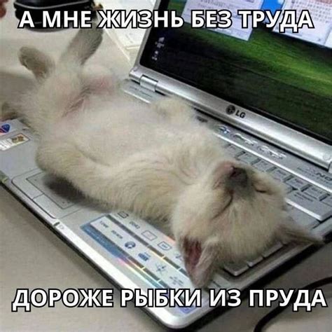 а я ебу? 2024 | ВКонтакте