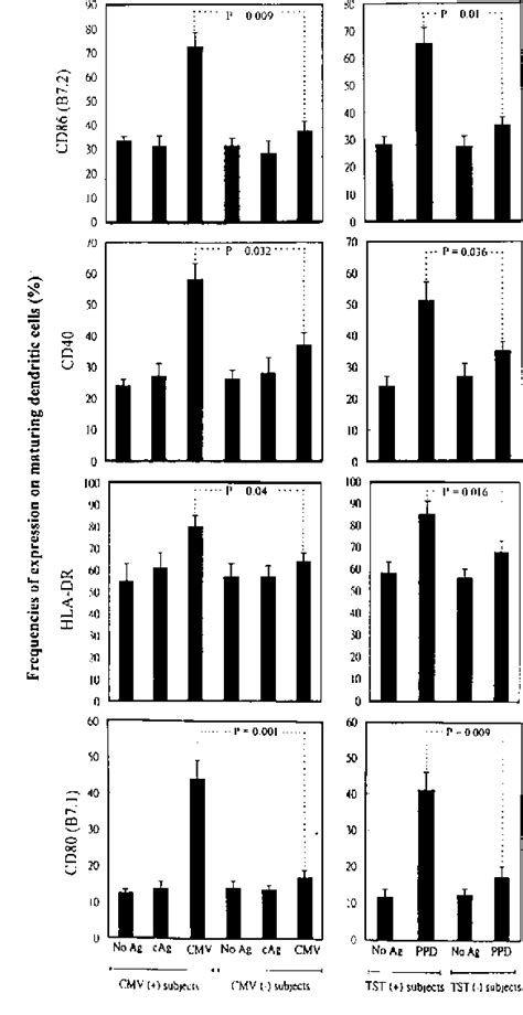 Figure 2 From Monocyte Derived Dendritic Cells Functional Maturation Of