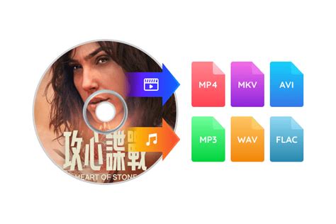 Dvdfab 13 Die 13 Generation Dvdfab Mit Neuer Disc Lösung Und Flachem