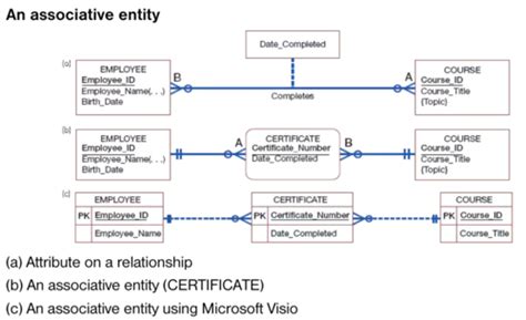 Chapter 8 Structuring System Data Requirements Flashcards Quizlet