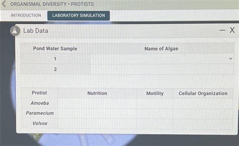 Solved Organismal Diversity