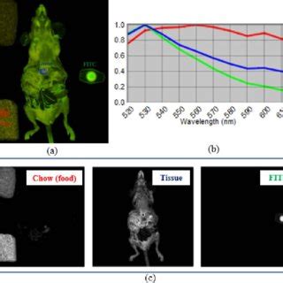 Solaris Multispectral Imaging A LCTF Provides Wavelength Tunability Download Scientific