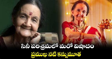 సినీ పరిశ్రమలో మరో విషాదం ప్రముఖ నటి కన్నుమూత