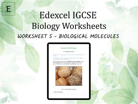 Edexcel IGCSE Biology Worksheet Biological Molecules Teaching Resources