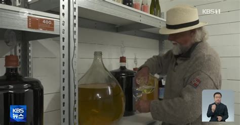 노르웨이에서도 와인 생산기후변화의 선물