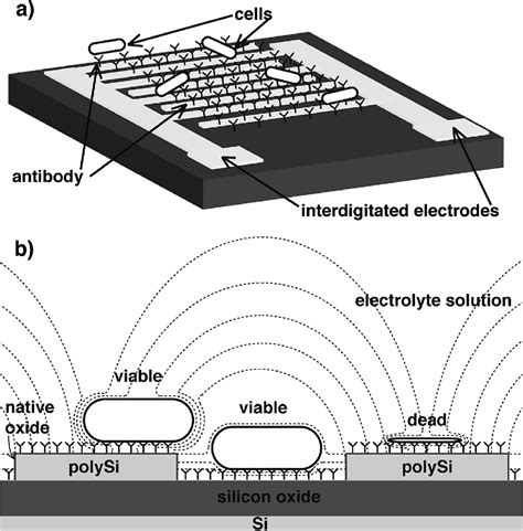 Figure 1 From Selective Detection Of Live Pathogens Via Surface