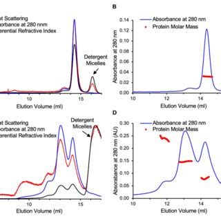 The Features And Expression Of VDAC C A The Structural Model Of Download Scientific