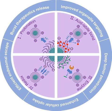 Schematic Illustration Of Triggering Mechanisms Of Charge Reversal NCs