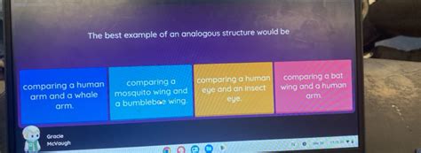 Solved The Best Example Of An Analogous Structure Would Be Comparing A