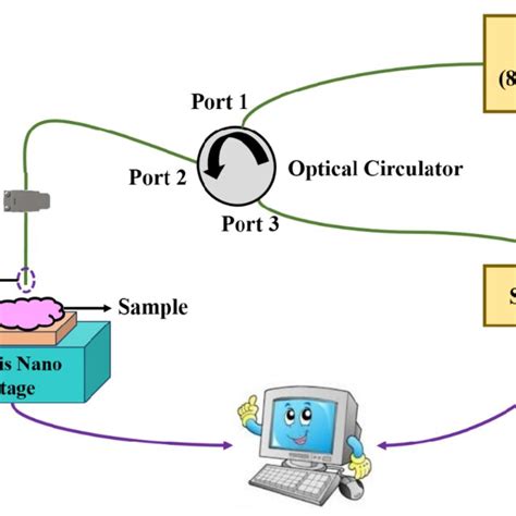 Schematic Of The Frequency Domain Based Common Path Optical Coherence