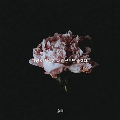 그 꽃은 희붉은 장미 Youtube