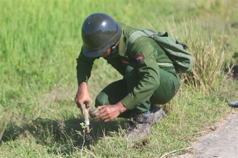 အာရက္ခပြည် ရပ်ရွာ၊ ဒေသတိမာ အာရက္ခတပ်တော် မိုင်းယှင်းလင်းရီးကို ဆက်လက