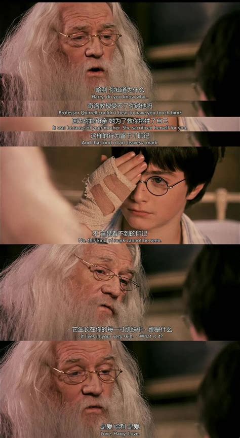 哈利·波特 让我们回到霍格沃兹风闻