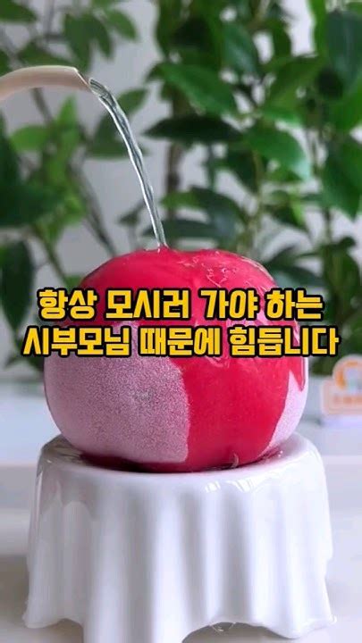 항상 모시러 가야 하는 시부모님 Youtube