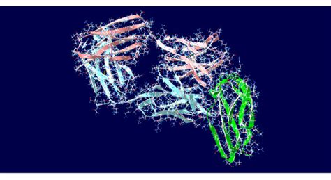 Prediction Of Antibody Antigen Binding Via Machine Learning Development Of Data Sets And