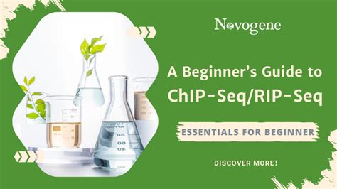 A Beginners Guide To Chip Seq Rip Seq