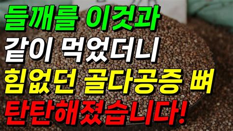 들깨를 이것과 같이 먹으면 힘없는 골다공증 뼈 탄탄해집니다 관절염 골다공증에 좋은 음식 들깨효능 YouTube