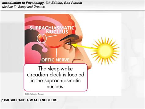 Module 7 Sleep And Dreams Ppt Download