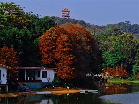 麓湖公园 摄即是kong 站酷ZCOOL