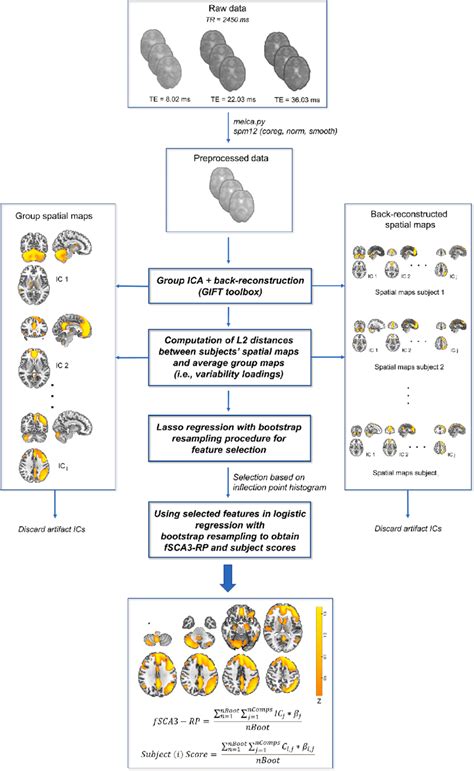 Resting State Fmri Analysis Pipeline Preprocessed Fmri Data Was