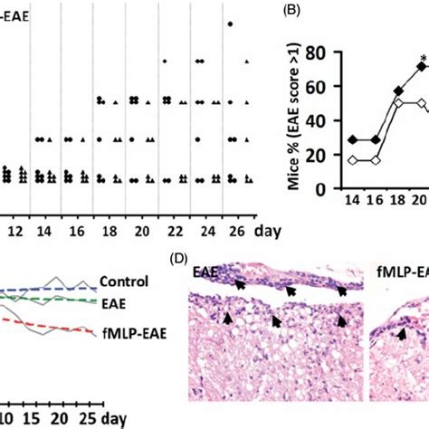 Clinical And Histopathological Evaluation Of Eae A Disease Scores