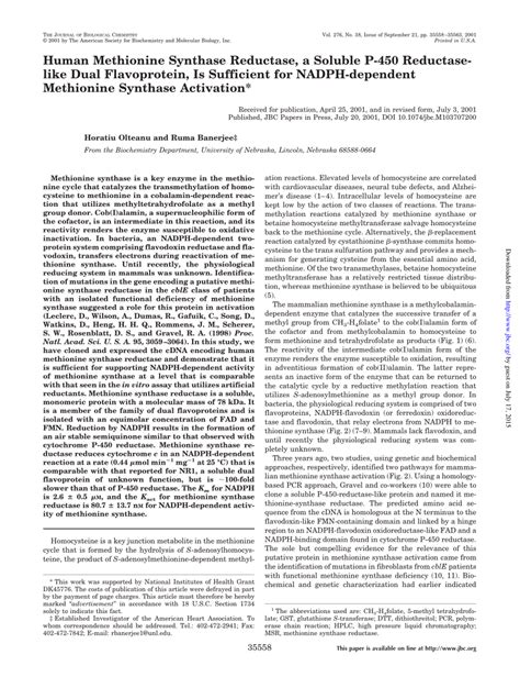 Pdf Human Methionine Synthase Reductase A Soluble P 450 Reductase Like Dual Flavoprotein Is