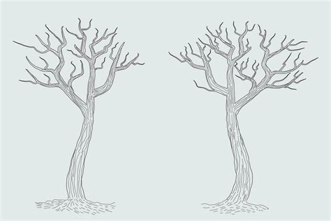 Hand Drawn Winter Bare Tree Sketch Vector Bare Trees Leafless Dead Old Dry No Leaves Pencil