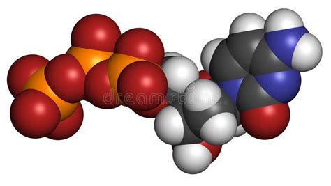 Deoxycytidine Triphosphate Or Dctp Nucleotide Molecule Dna Building Block Skeletal Formula