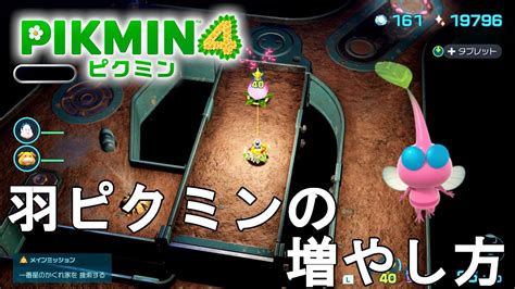ピクミン4羽ピクミンの超簡単な増やし方解説 How to get Winged PikminPikmin 4 YouTube