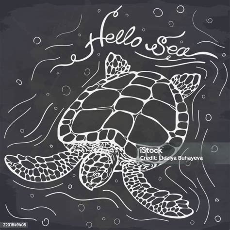 칠판에 바다 거북의 벡터 그림 레터링 Hello Sea 초대장 인사말 카드 엽서 배너 직물 포스터에 적합합니다 거북등껍질에 대한 스톡 벡터 아트 및 기타 이미지 Istock