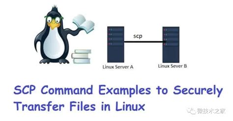 掌握scp命令，轻松实现linux与远程服务器间的文件传输 Csdn博客