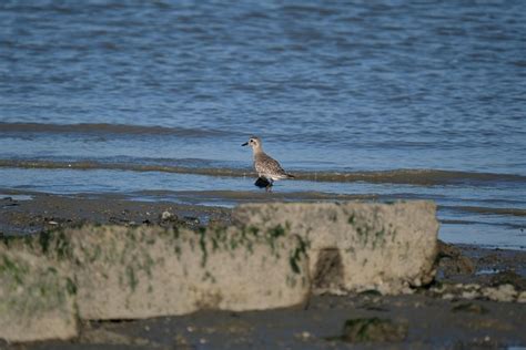 Updatedata Problem Articles Ibi Community