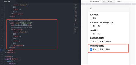 《uni App》表单组件 Radio单选框组件uniapp Radio Csdn博客