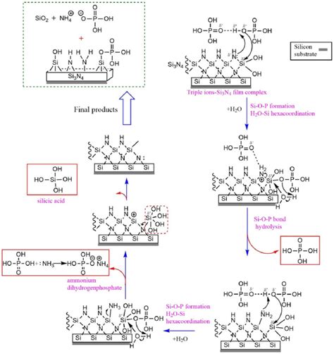 Proposed Mechanism Of Silicon Nitride Etching With Concentrated Download Scientific Diagram