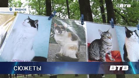 ХОЧУ ДОМОЙ YouTube