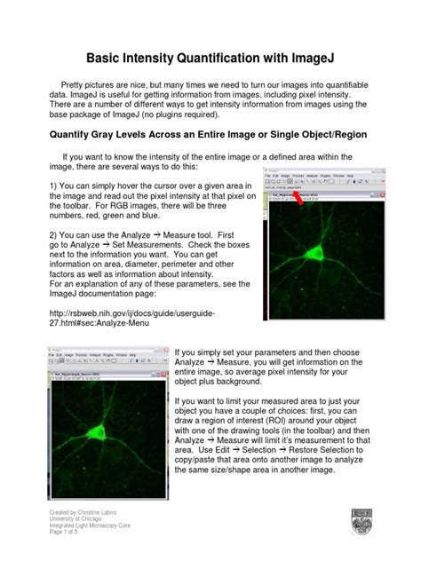 Basic Intensity Quantification With Imagej Quantify Gray Levels Across