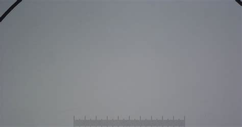 Skeptic Wonder Quick Imagej Tutorial Scalebar Calibration