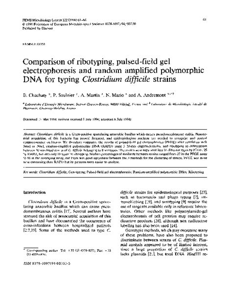 Pdf Comparison Of Ribotyping Pulsed Field Gel Electrophoresis And Random Amplified