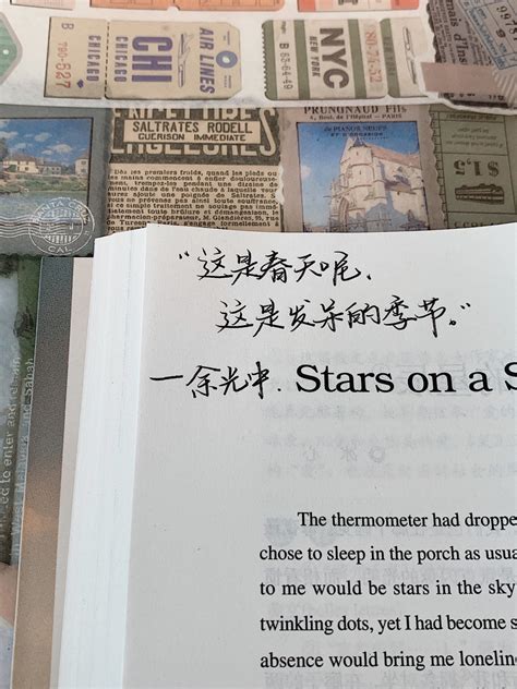 语录分享 春天文案 日常摘抄 小熊 堆糖美图壁纸兴趣社区