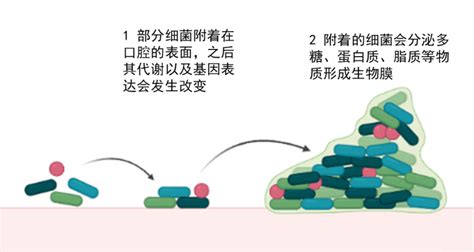 图文详情