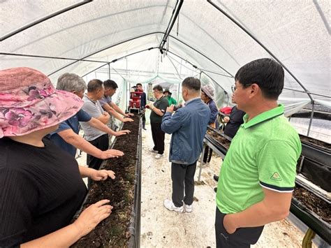 남양주시 딸기 고설재배 배지 동력파쇄기 임대 운영 시작