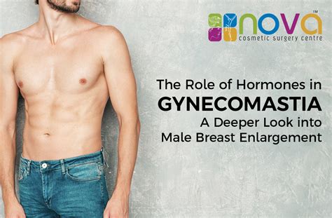 The Role Of Hormones In Gynecomastia A Deeper Look Into Male Breast Enlargement Nova